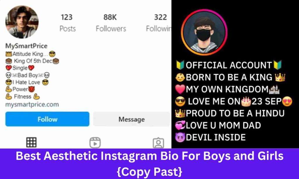 Best Aesthetic Instagram Bio For Boys and Girls {Copy Past}